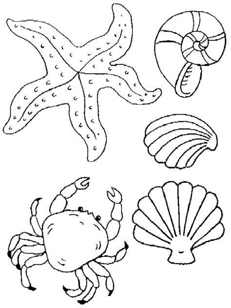 Раскраски Морские Обитатели