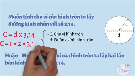 Công Thức Tính Biểu đồ Hình Tròn Hướng Dẫn Từng Bước Chi Tiết Và Dễ Hiểu
