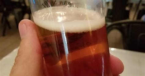 My Imperial Ipa I Dont Filter But Wanted In On The Clear Ipa Bandwagon Imgur