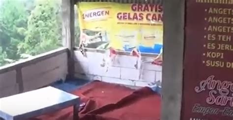 Viral Sepasang Kekasih Nekat Ngeseks Di Warung Pinggir Jalan