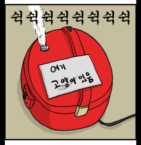 슈뢰딩거의 고양이