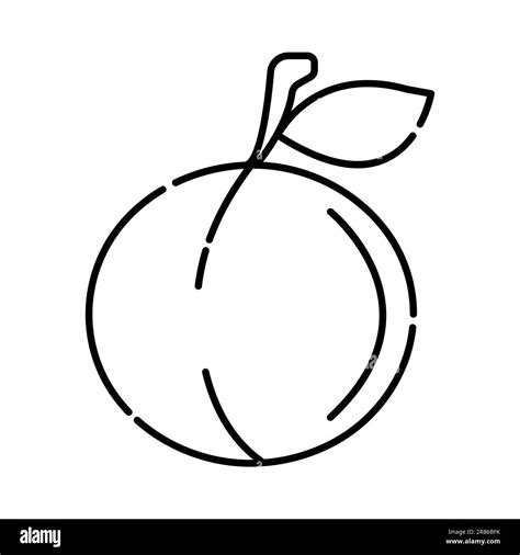 Peach Black And White Vector Line Icon Stock Vector Image And Art Alamy