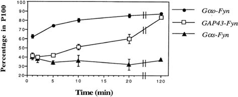 Membrane binding of newly synthesized Gαo Fyn Gαs Fyn and Download Scientific Diagram