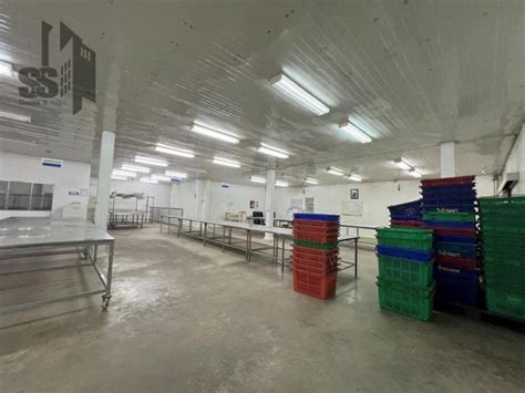 ให้เช่าโรงงานพร้อมห้องเย็นตำบลบางเตย อ สามพราน จ นครปฐม พื้นที่ 1 1 91