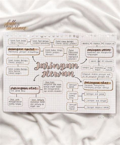 How To Make Aesthetic Notes On Google Docs I Digital Notetaking Using Google Docs Free Template