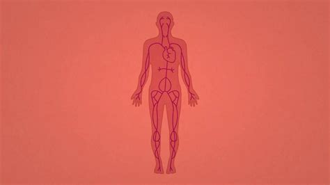 Science In 1 Minute Cholesterol And Arteriosclerosis Youtube