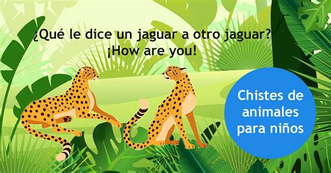 síndrome Instituto Ausencia libros de chistes para adolescentes