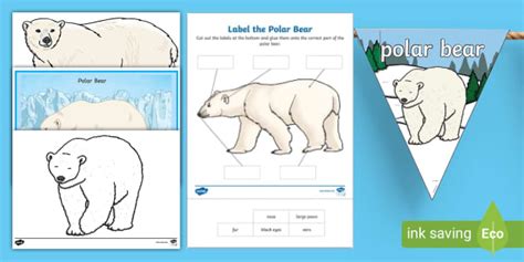 International Polar Bear Day Resource Pack