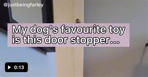 Favorite Toy 9gag