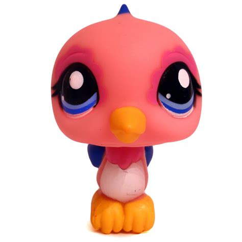 Lps Database Search Hummingbird Lps Merch