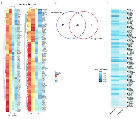 A Heat Maps Of Differentially Expressed Genes Related To The DNA Download Scientific Diagram