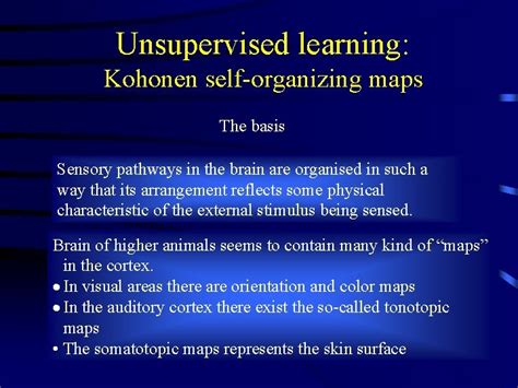 Som Y Sota Clustering Methods In The Analysis
