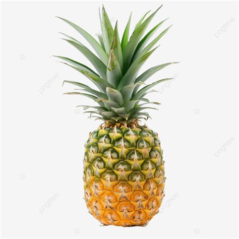 파인애플 파인애플 과일 파인애플 과일 만화 파인애플 Png 일러스트 및 이미지 에 대한 무료 다운로드 Pngtree