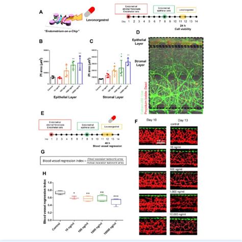 Levonorgestrel Response In 3d Endometrium On A Chip A Schematic Download Scientific Diagram
