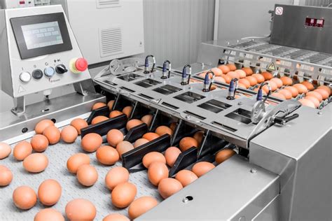 Prinzen 50 70 100 Vencomatic Group