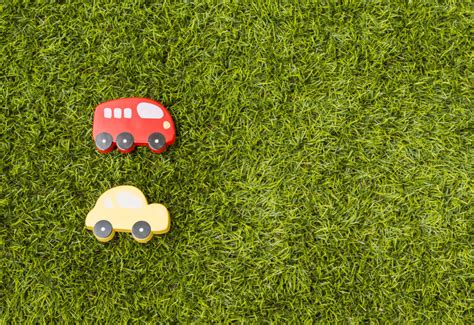 Drought Resistant Natural Lawn Grasses For A Green Yard Balaji Nursery