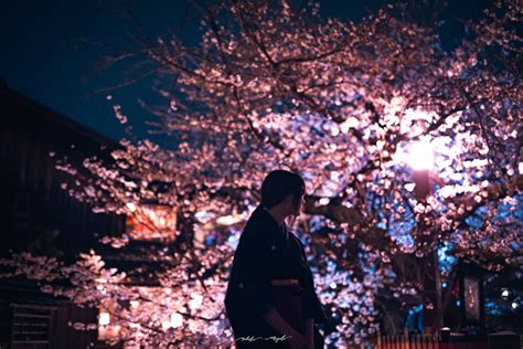 Aimi あいみ 好き を仕事にしてる人 on Twitter RT t nobuki MI 夜桜 モデルAimiさん