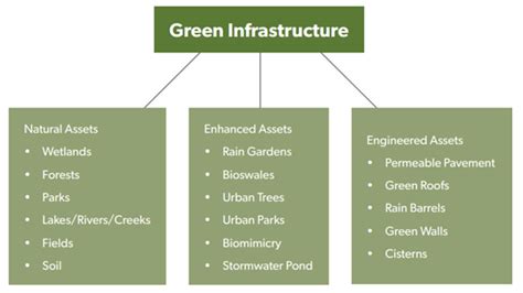 Natural Assets In Infrastructure Projects Treenet
