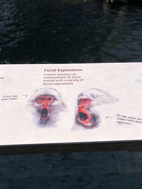 Pattern Recognition Rule R19684