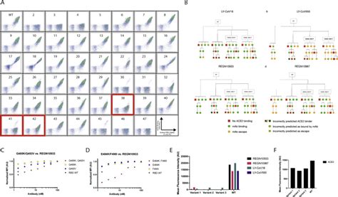 Deep Mutational Learning Predicts ACE2 Binding And Antibody Escape To