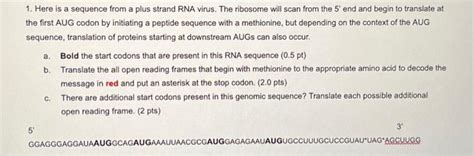 Solved 1 Here Is A Sequence From A Plus Strand Rna Virus