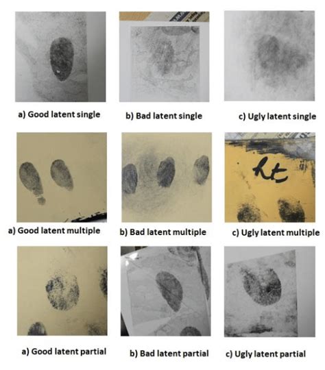 Categories Of The Latent Fingerprints From Iiit D Latent Fingerprint