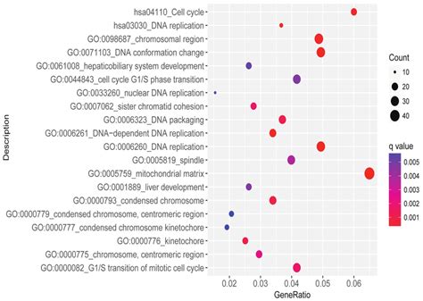 Significantly Enriched Go Annotation And Enriched Kegg Pathways Of