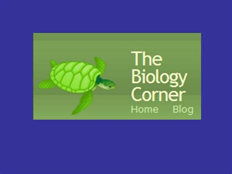 Biology Corner