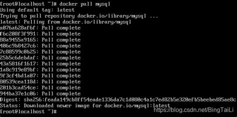 docker拉取mysql镜像，并创建容器，使用navicat客户端连接mysql容器 服务器docker拉去mysql镜像并创建容器 csdn博客