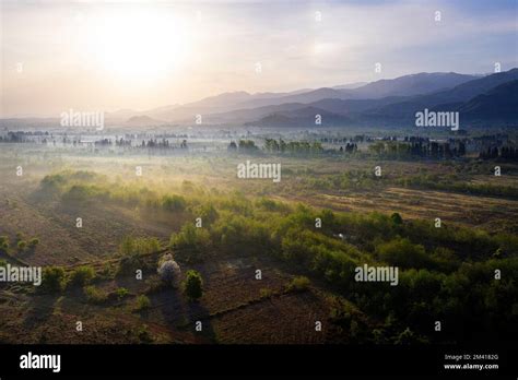 Aerial View Or The Valley Near Ozurgeti And Tea Plantations In The