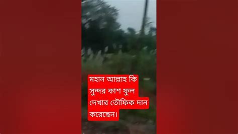 এত পাপের মাঝে এত সুন্দর কাশফুল প্রসংসা না করে পারা যায়।please