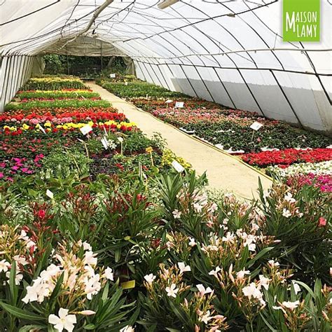 Autres Patrick Lamy Sa Lamy Sceaux Danjou