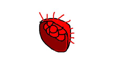 Urucum Desenho De Envocada456 Gartic