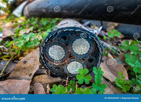 A Cut Off Fiber Cable Exposing Inside Wires And Components India Stock