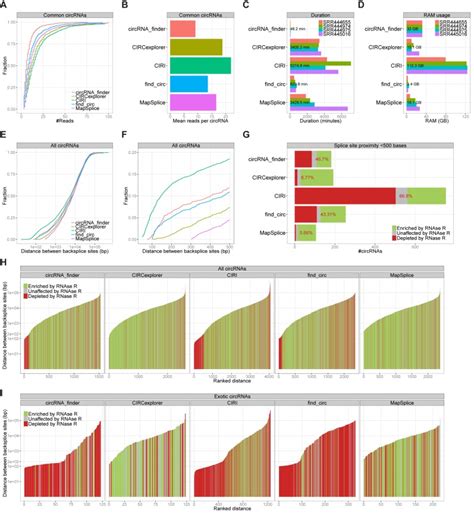 Comparison Of Circular Rna Prediction Tools Abstract Europe Pmc