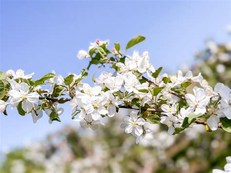 Mighty Bites By Mel Added A New Photo Mighty Bites By Mel