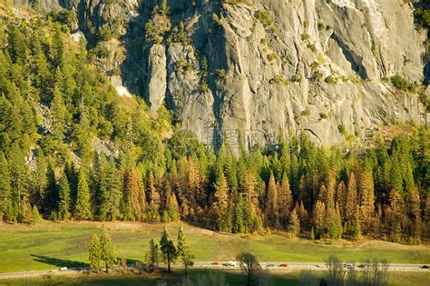 约塞米特河谷山谷绿色地标阳光场景旅游摄影目的地树木水平高清图片下载 正版图片321898011 摄图网