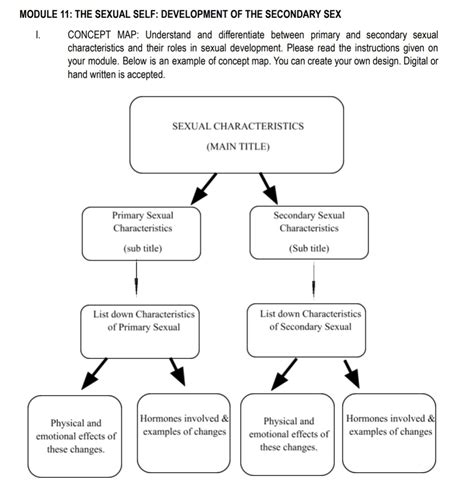 Module 11 The Sexual Self Development Of The Secondary Sex I Concept Map Understand And