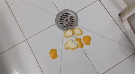 Une Orange Sous La Douche La Nouvelle Tendance Pour Une Expérience
