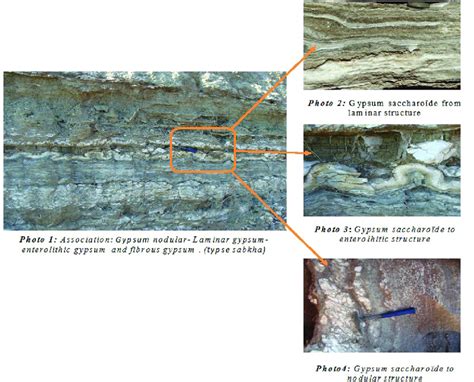Gypsiferous structures found in the Aït Abbes Formation eastern area