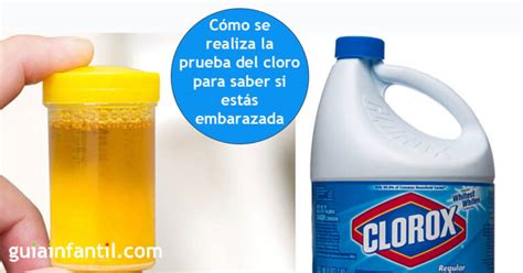 Prueba de embarazo casera Descubre cómo hacerla con cloro