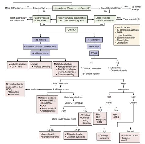 El RincÓn De La Medicina Interna Juanpedromacaluso Ar 30 Jun 2023
