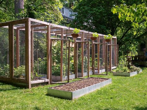 Squirrel Proof Garden Colin Purringtons Blog