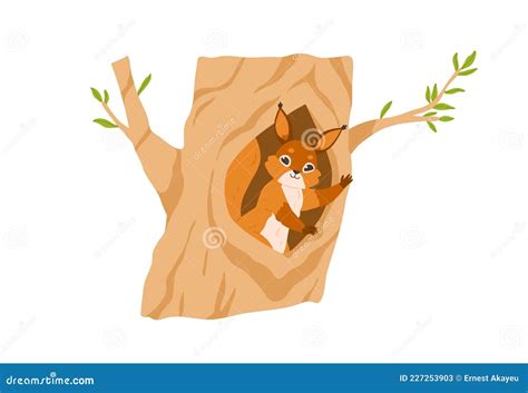 Squirrel In Tree Clip Art