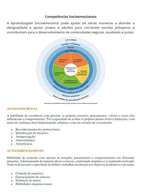 Competências Socioemocionais Pdf Sociologia Pensamento