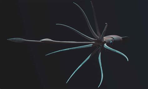 Deep Sea Giant Squid