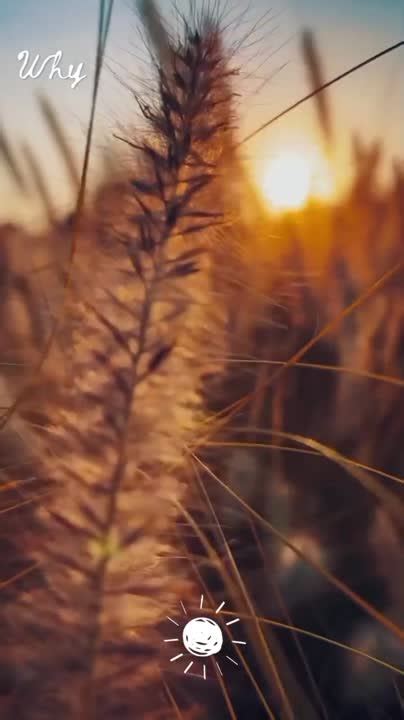 Video Er Olympia Devi Posted On Linkedin