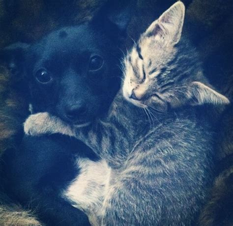 Plppp U Plppp Reddit