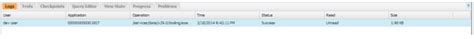 Using Or Executing Code In Developer Console In Salesforce