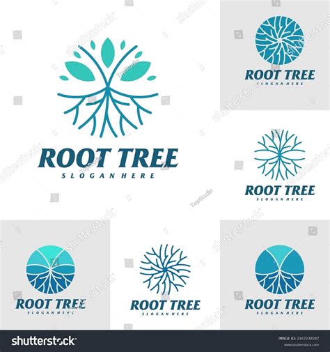 Set Tree Root Logo Design Vector Stock Vector Royalty Free 2167238287 Shutterstock
